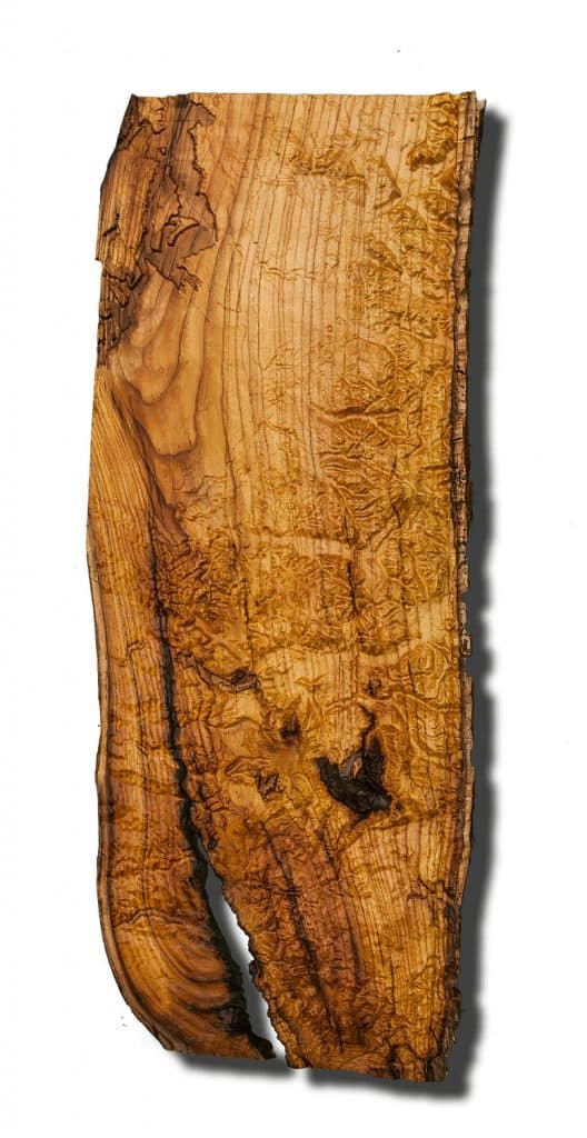 Seattle and Portland Area Topographical Map from a natural live edge ...