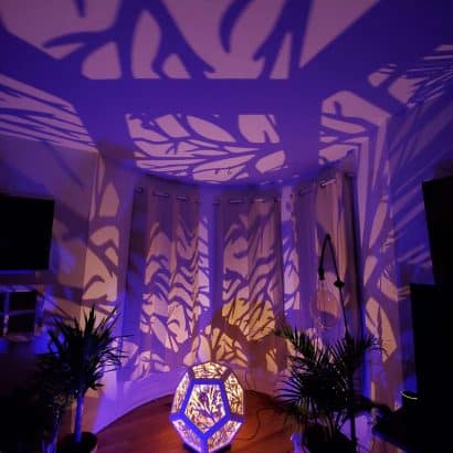 The Dodecahedron Forest Shadow Light (Chandelier) – Chris Knight Creations
